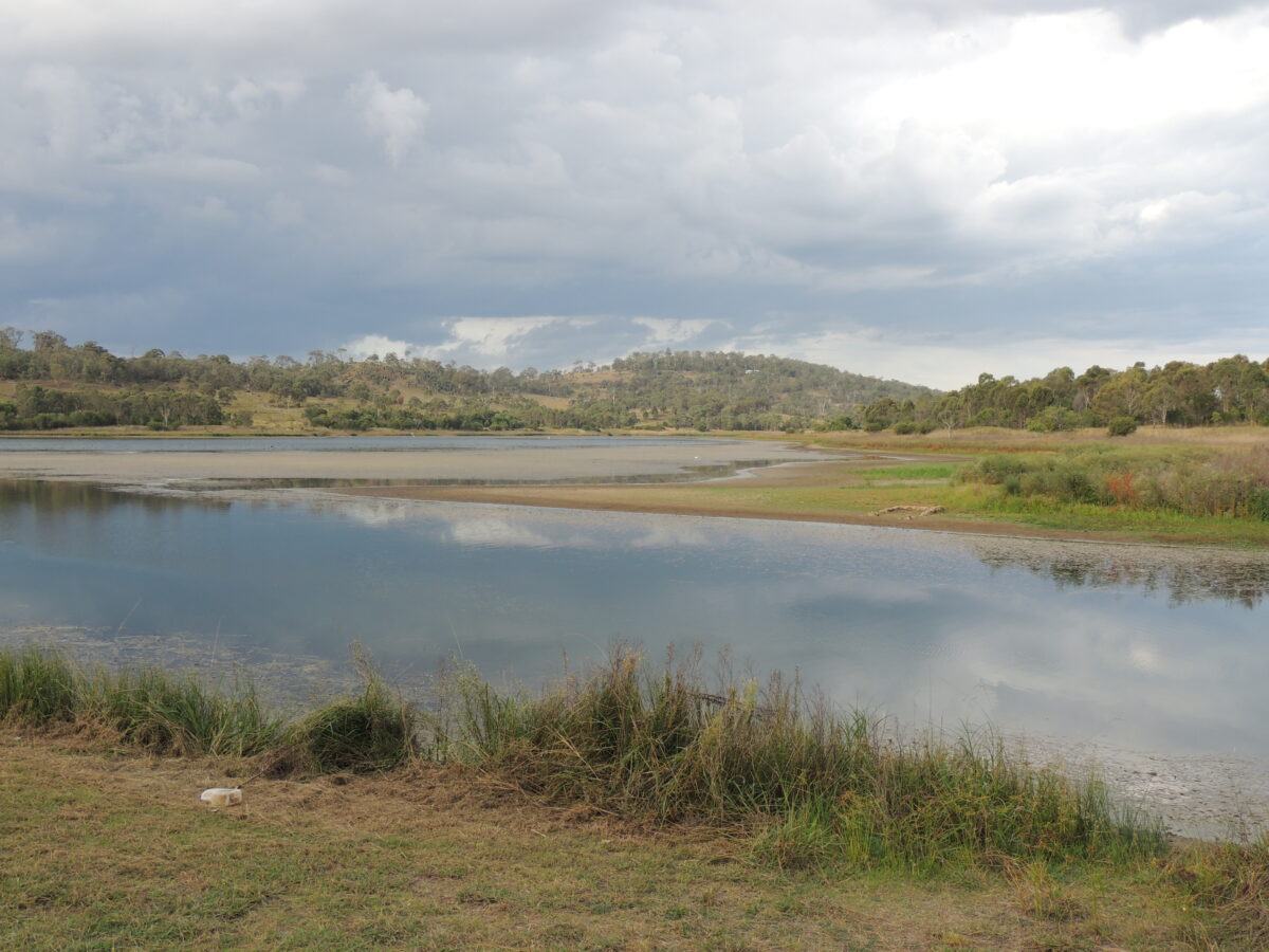 Cooby Dam – Birdlife Southern Queensland – Darling Downs Local Branch